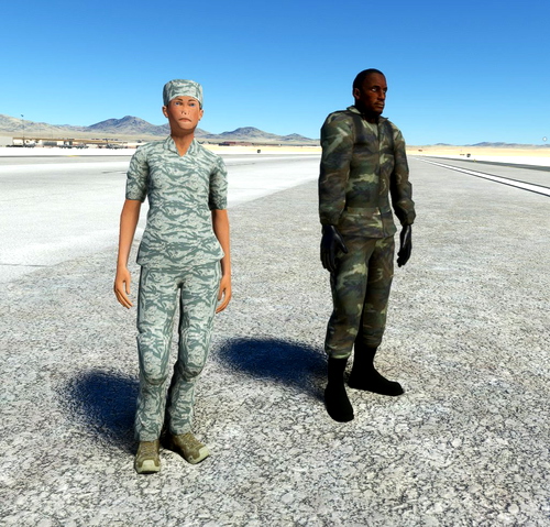 Animated Human 3D Models Library » Microsoft Flight Simulator