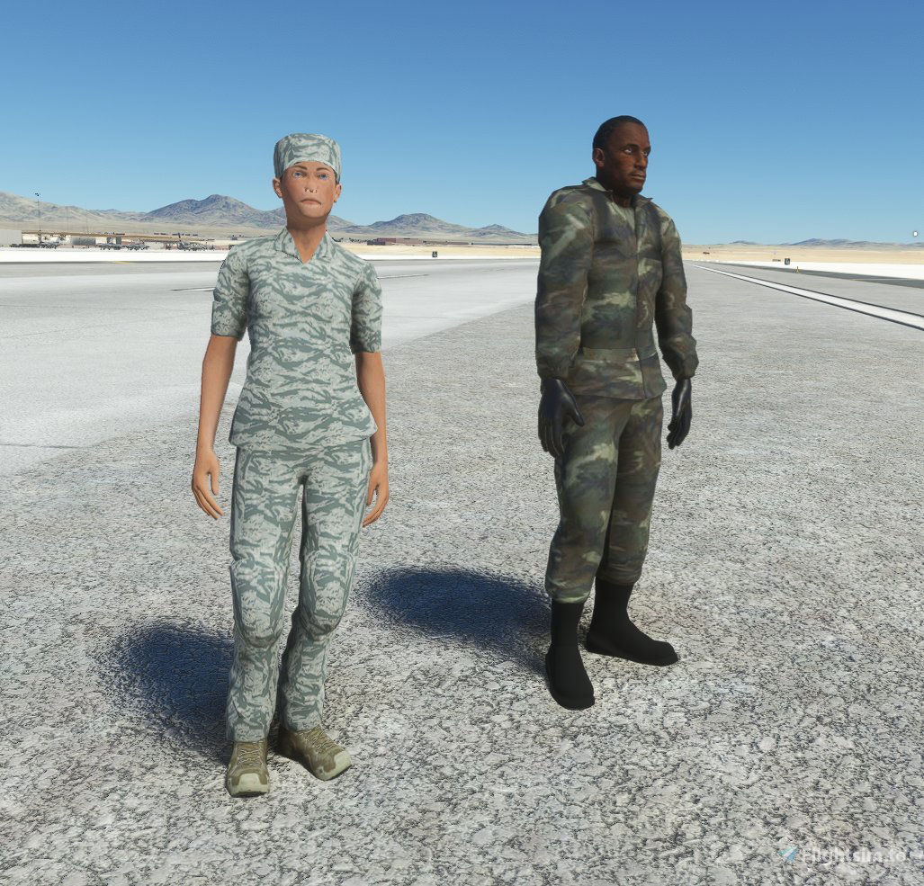 Animated Human 3D Models Library para Microsoft Flight Simulator | MSFS