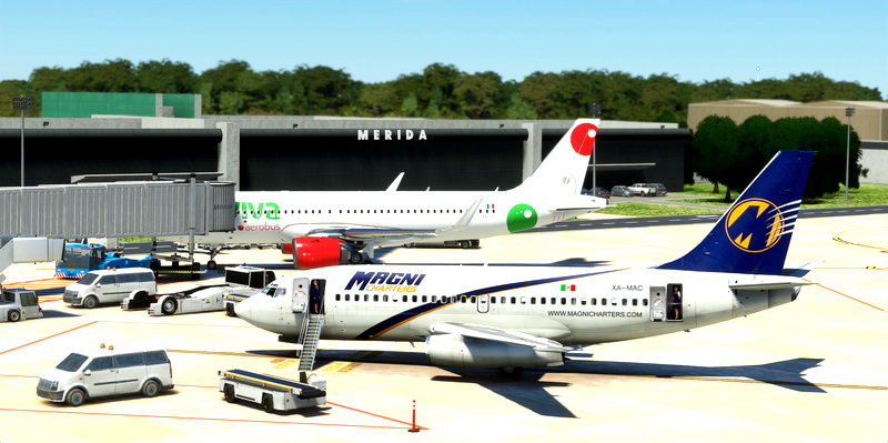 Airbus A320neo Liveries for Microsoft Flight Simulator | MSFS