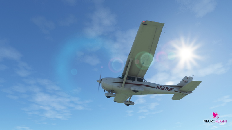 Asobo Cessna 172 CLASSIC SIU Flight School Livery, registration N6289F ...