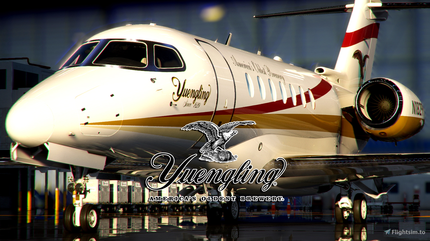 Liveries - Citation Longitude Add-Ons for Microsoft Flight Simulator ...