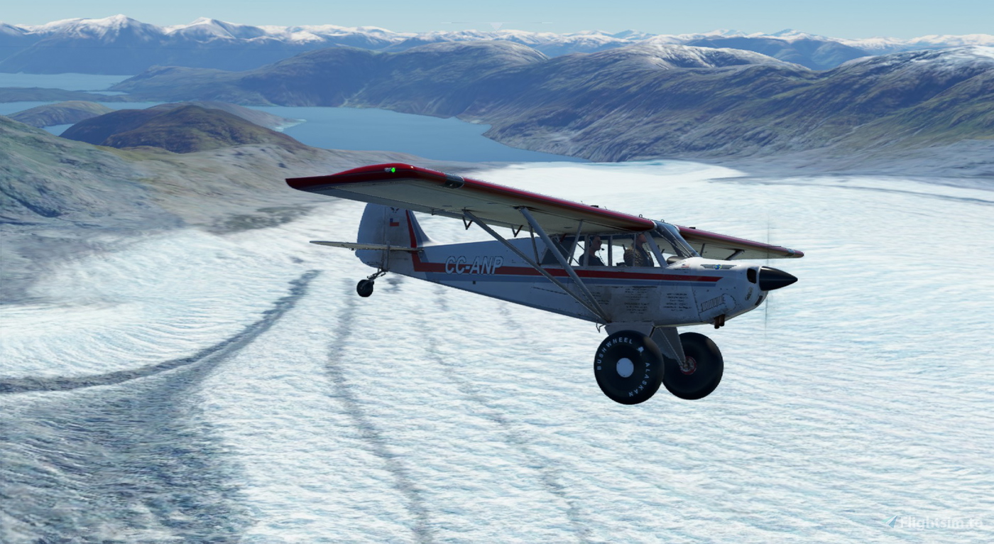Asobo Husky A1C / CC-ANP for Microsoft Flight Simulator | MSFS
