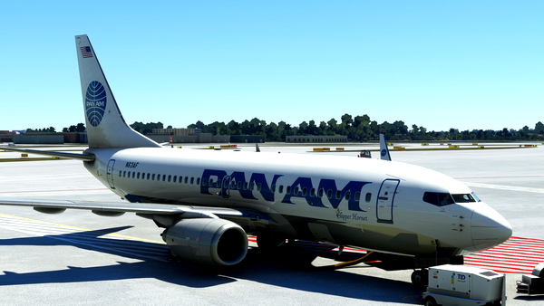 B737-700 BDSF PAN AM CARGO for Microsoft Flight Simulator | MSFS