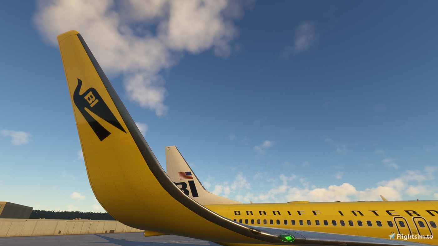 B737-800 BRANIFF (YELLOW) for Microsoft Flight Simulator | MSFS
