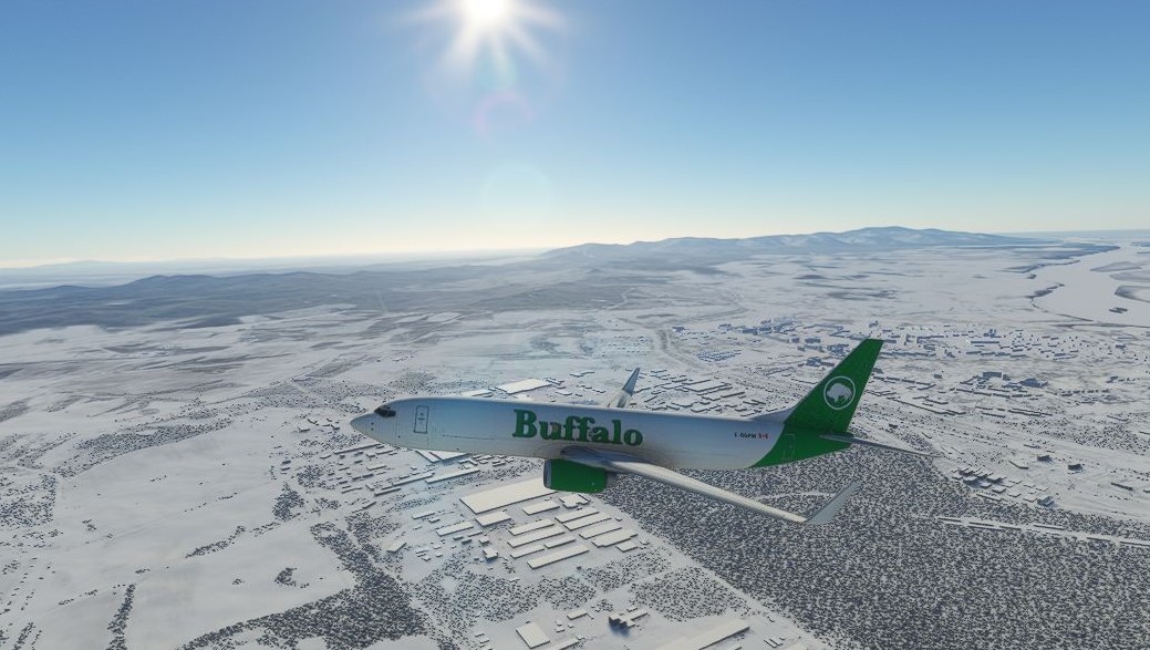 B73X Buffalo Air Cargo for Microsoft Flight Simulator | MSFS