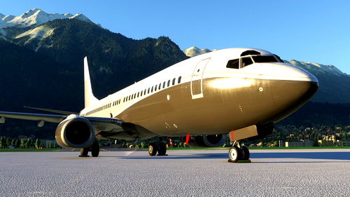 [BBJ2] PMDG 737-800 Custom Views » Microsoft Flight Simulator