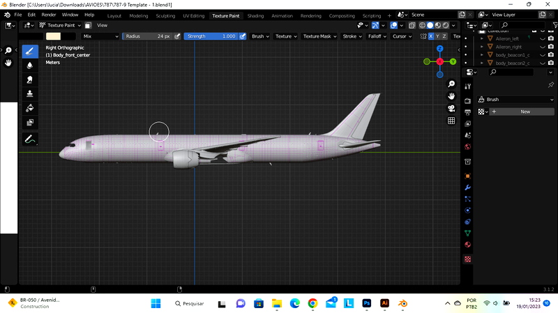 Paintkits - Boeing 787 Add-Ons for Microsoft Flight Simulator ...