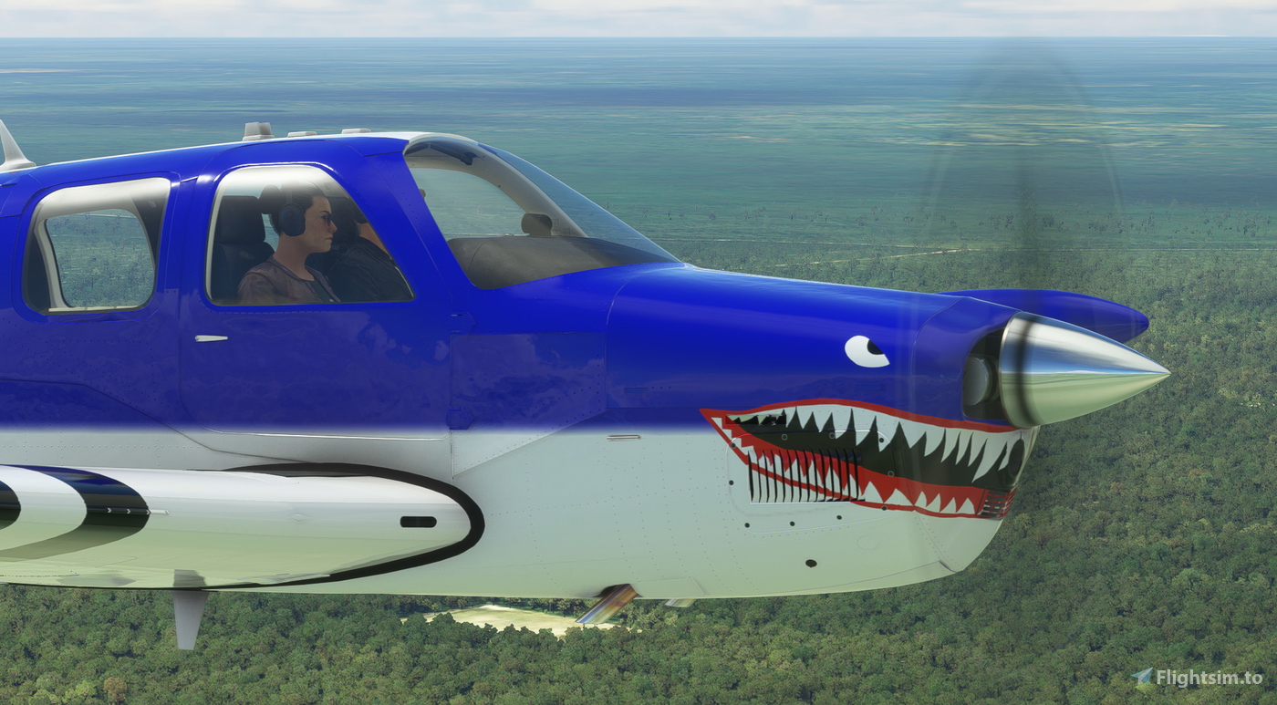 Black Square Analog A36 Bonanza N911GS Navy Shark для Microsoft Flight ...