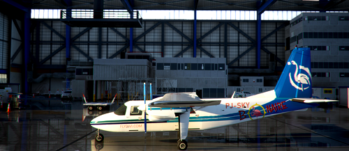 BN2 Divi Divi PJ-SKY Fancy Nancy Livery for Microsoft Flight Simulator ...
