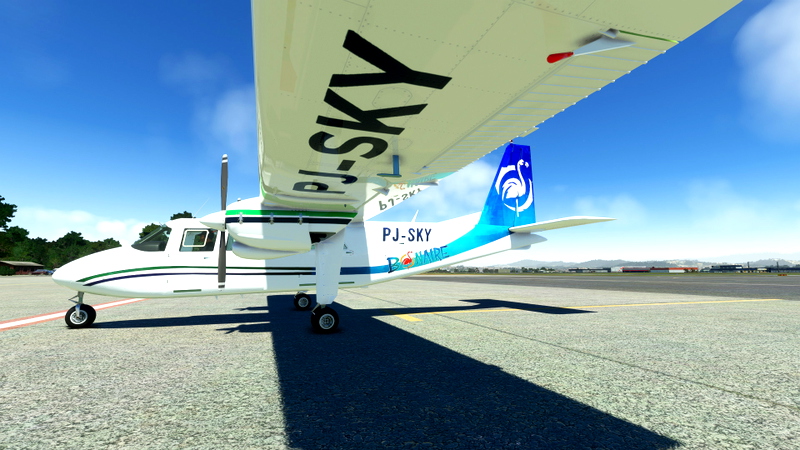 BN2 Islander Liveries for Microsoft Flight Simulator | MSFS