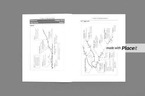 Boeing 737 NG Maneuvers - Flight Patterns for Microsoft Flight ...
