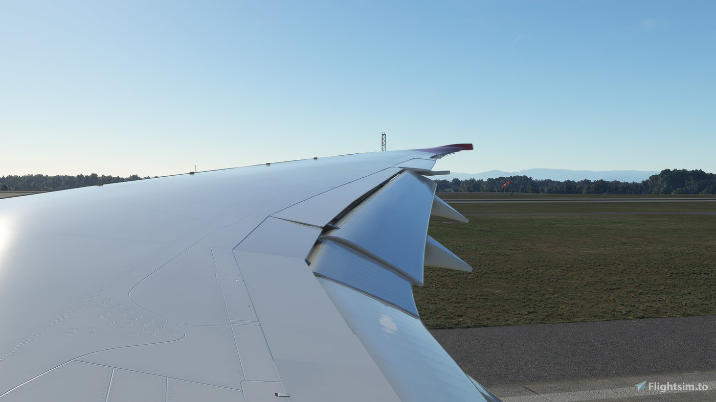 Boeing 787-10 Custom Wing Views for Microsoft Flight Simulator | MSFS