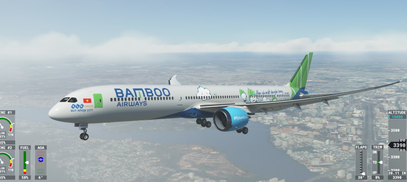 Boeing 787 Liveries for Microsoft Flight Simulator | MSFS