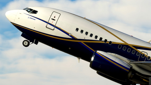 United Airlines [4K] "Mismatched Radome" N14371 for Microsoft Flight ...