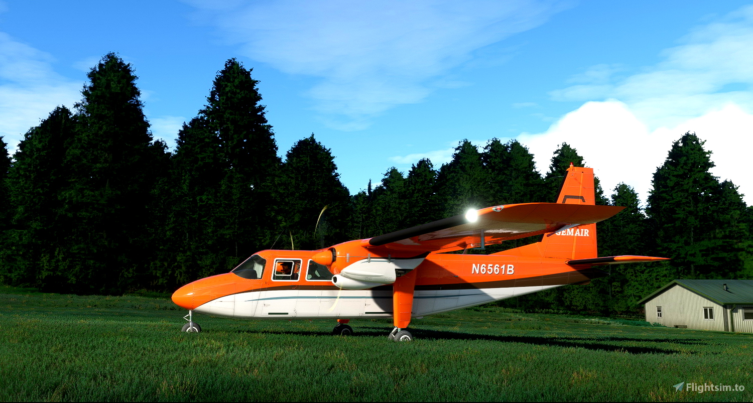 BN2 Islander Liveries for Microsoft Flight Simulator | MSFS | Flightsim.to