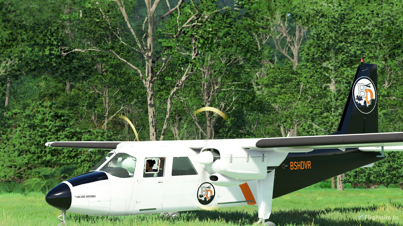 Bush Divers BN-2 Islander Virtual Airline Livery for Microsoft Flight ...