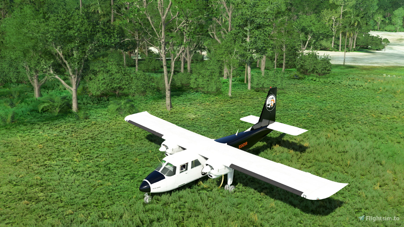 Bush Divers BN-2 Islander Virtual Airline Livery for Microsoft Flight ...