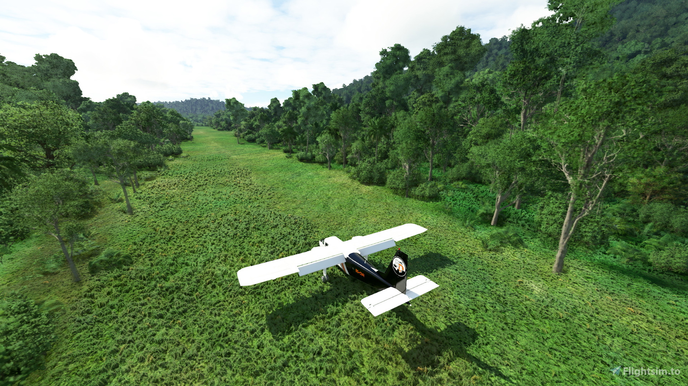 Bush Divers BN-2 Islander Virtual Airline Livery for Microsoft Flight ...