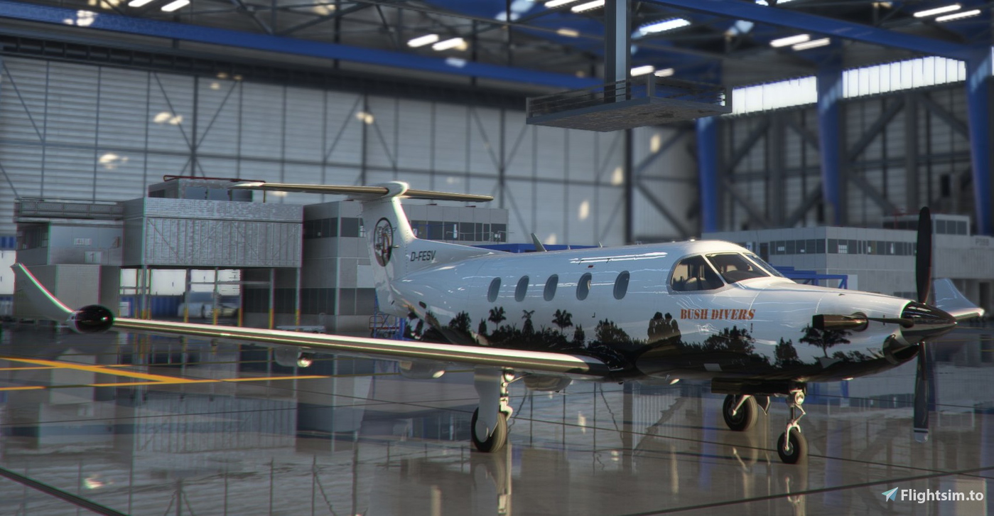 Bush Divers VA - Carenado PC-12 for Microsoft Flight Simulator | MSFS