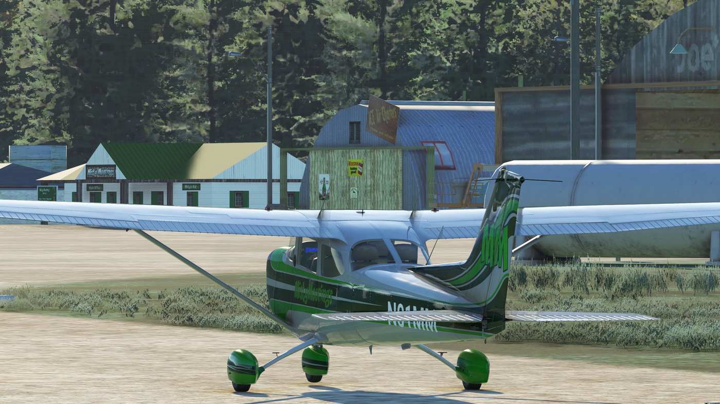 C172 G1000 Wheels and Amphibian RTMM livery for Microsoft Flight ...