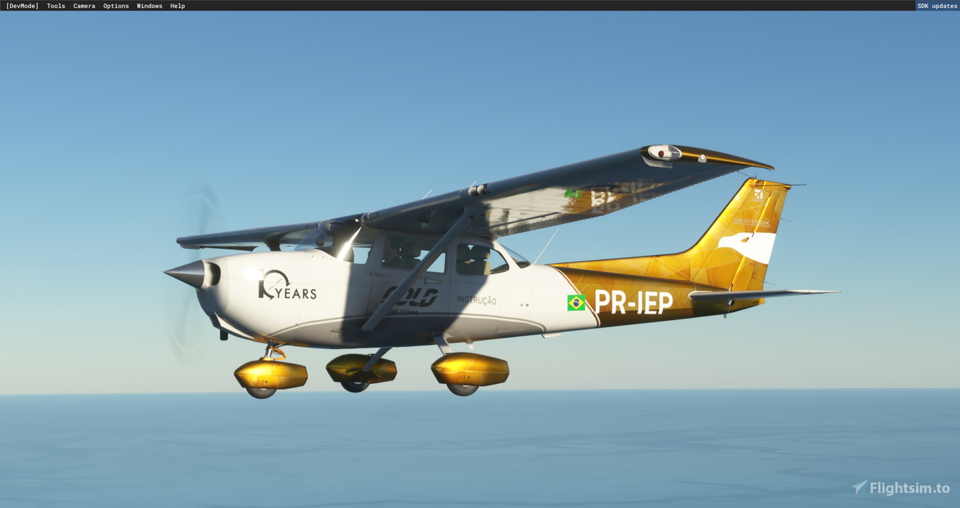 Cessna 172 WBSim - Gold Virtual Airlines - 10 Years for Microsoft ...