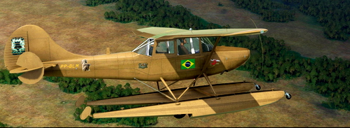 Cessna Bird Dog L-19 bbs Float (Amphibian) PP-BLM Curiapo » Microsoft ...