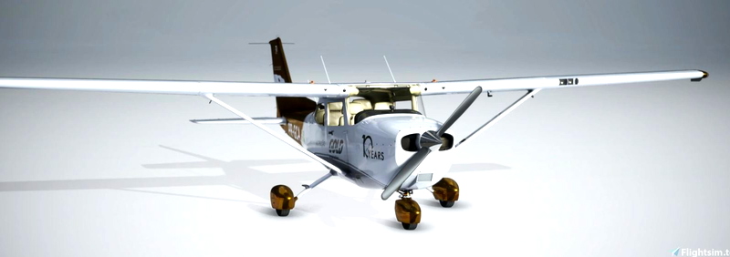 Cessna 172 Liveries for Microsoft Flight Simulator | MSFS | Flightsim.to