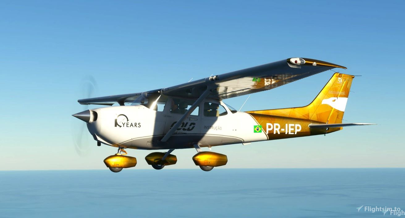 Cessna C172 Classic - Gold Virtual Airlines 10 Years for Microsoft ...