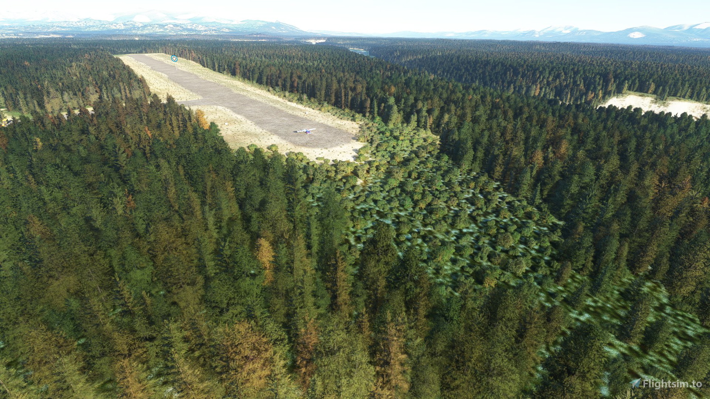 CFP8 Cousins revisited for Microsoft Flight Simulator | MSFS