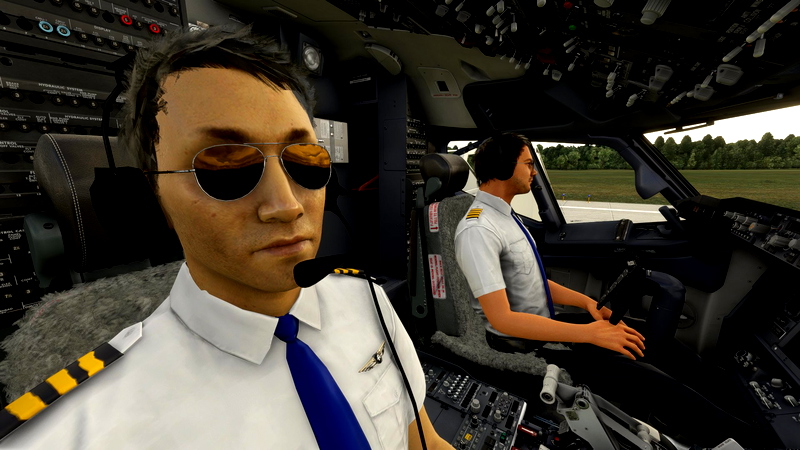 Co-Pilot Pmdg 737-600/700/800 for Microsoft Flight Simulator | MSFS