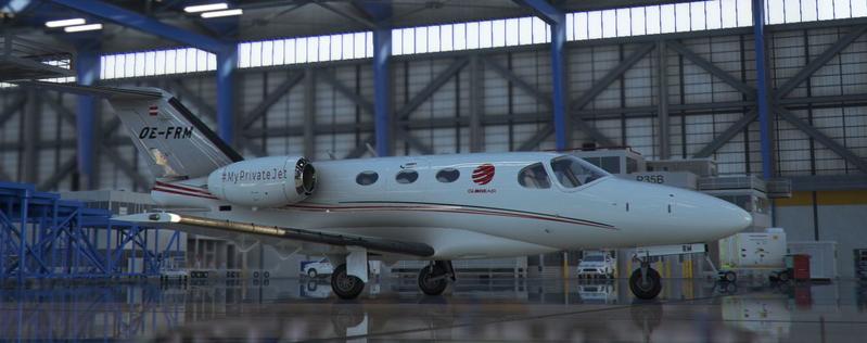 Cockspur C510 Mustang Liveries for Microsoft Flight Simulator | MSFS