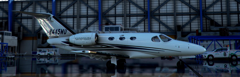 Cockspur C510 Mustang Liveries for Microsoft Flight Simulator | MSFS ...