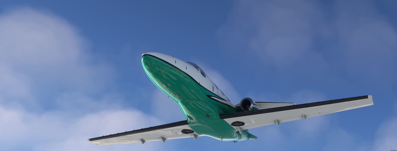 Cockspur C510 Mustang Liveries for Microsoft Flight Simulator | MSFS