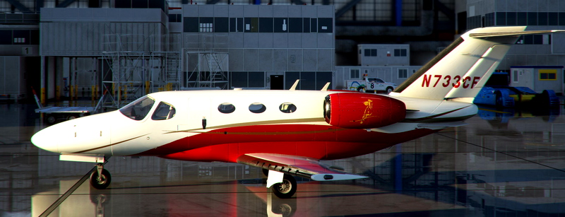 Cockspur C510 Mustang Liveries for Microsoft Flight Simulator | MSFS ...