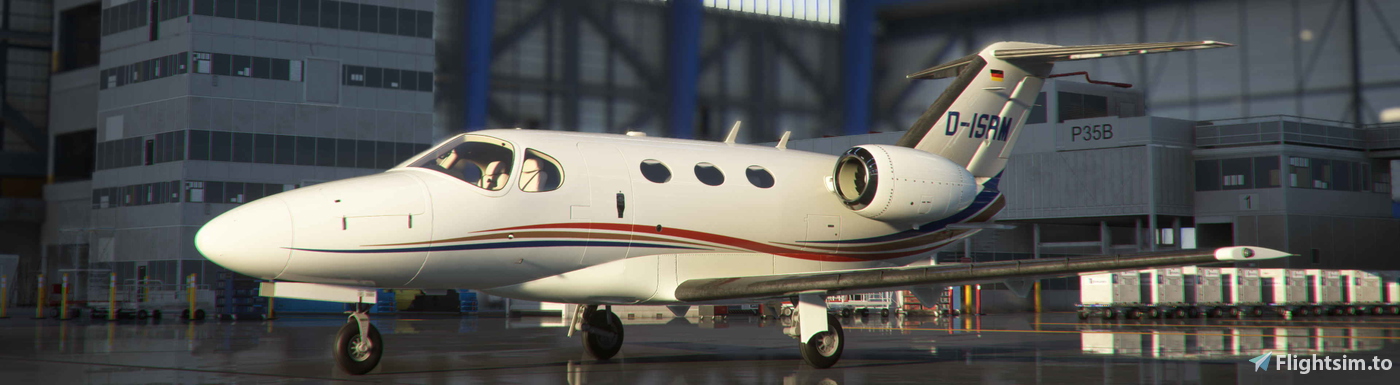 Cockspur C510 Mustang | D-ISRM for Microsoft Flight Simulator | MSFS