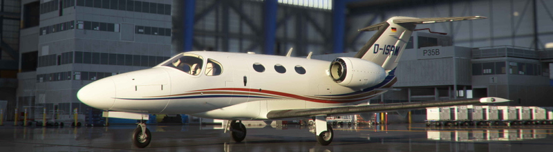 Cockspur C510 Mustang Liveries for Microsoft Flight Simulator | MSFS