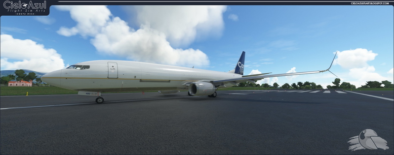PMDG Boeing 737-800 Liveries for Microsoft Flight Simulator | MSFS ...