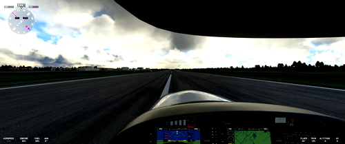 Corrected First Person Camera Positions » Microsoft Flight Simulator