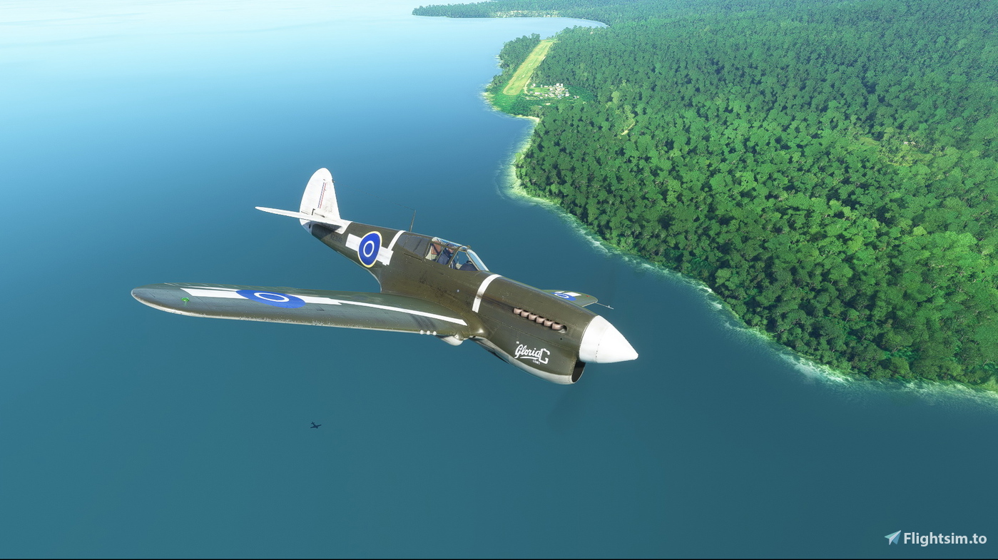 Curtiss P-40F RNZAF NZ3148 G "Gloria Lyons" for Microsoft Flight ...