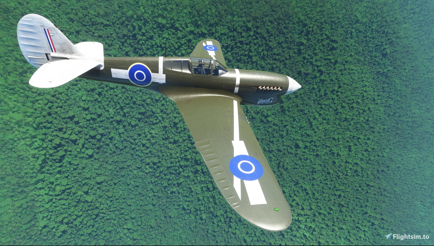 Curtiss P-40F RNZAF NZ3148 G "Gloria Lyons" for Microsoft Flight ...