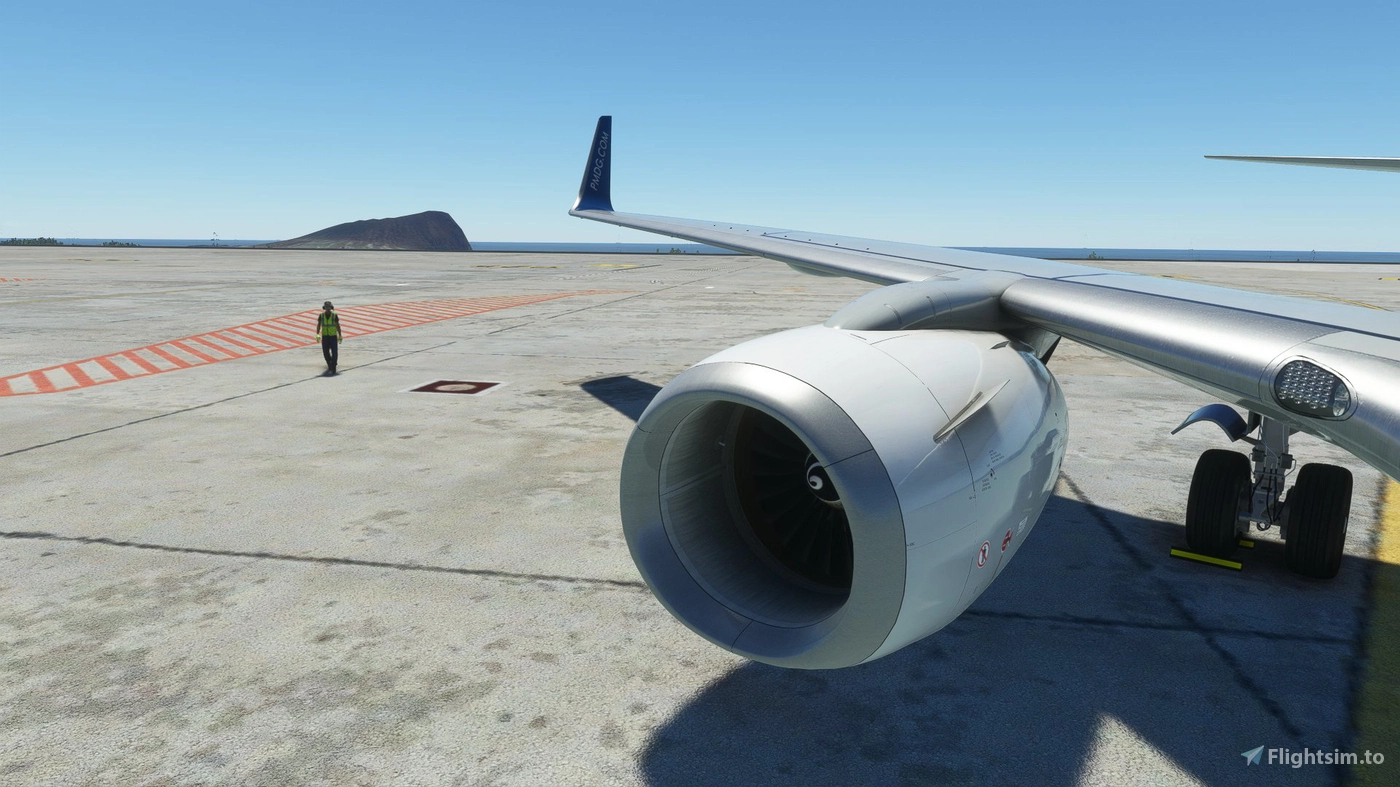 Custom Camera Views for PMDG 737-800 / BBJ2 / BCF / BDSF for Microsoft ...