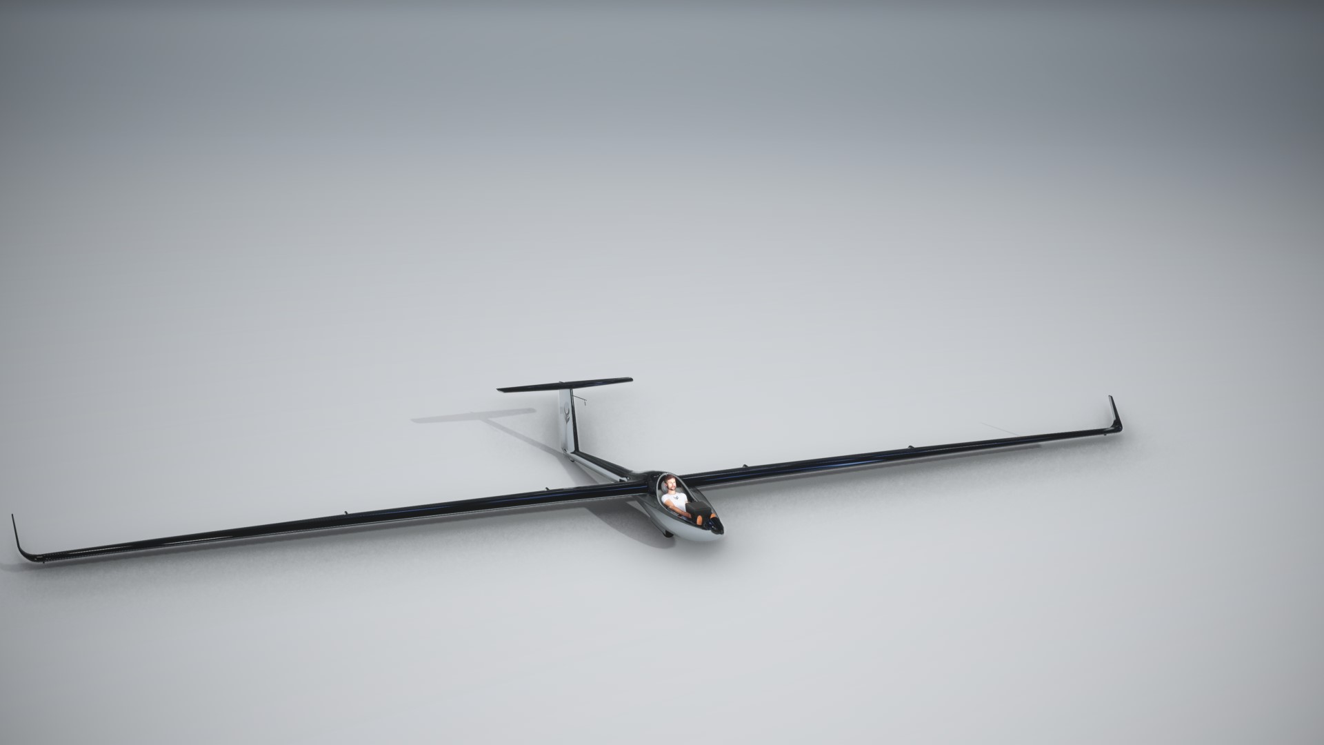 DG808S Silver Fox Livery for Microsoft Flight Simulator | MSFS