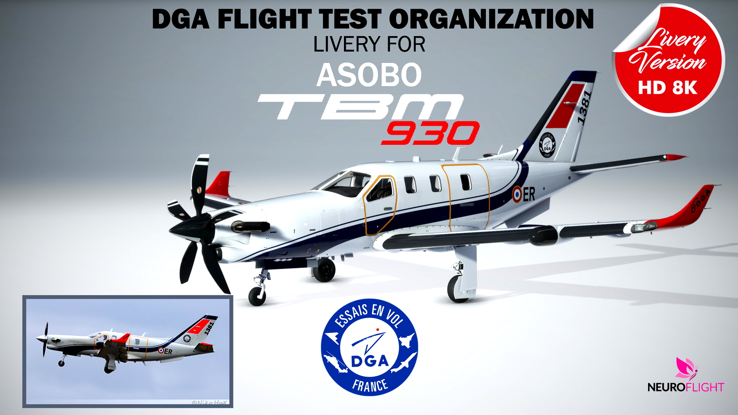 Daher TBM 930 Liveries for Microsoft Flight Simulator | MSFS | Flightsim.to