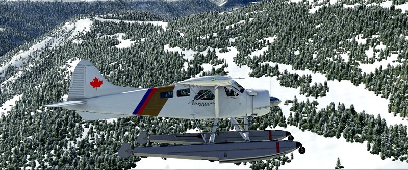 Havilland DHC-2 Beaver Liveries for Microsoft Flight Simulator | MSFS