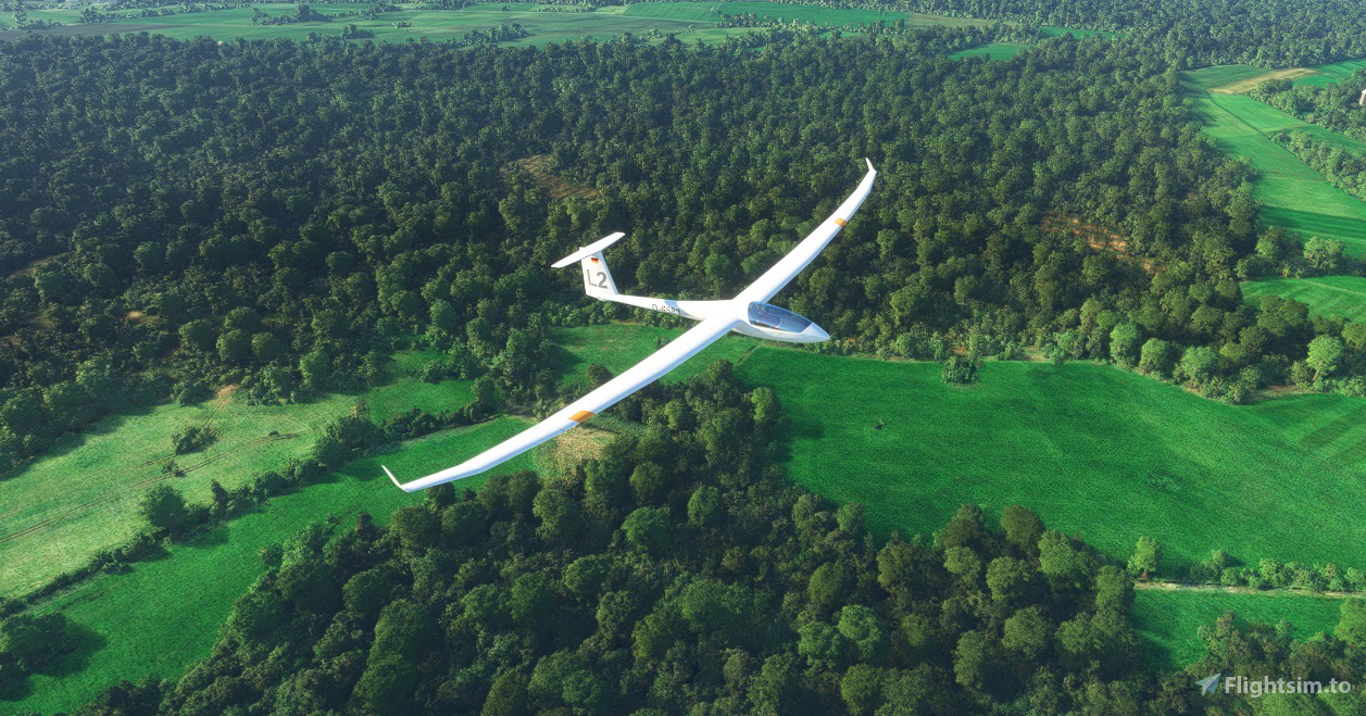 Discus 2C Free livery D-6538 » Microsoft Flight Simulator