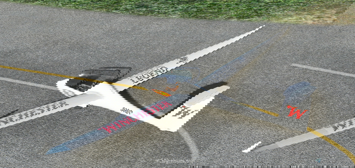 Discus 2c Winchester (premium & standard) for Microsoft Flight ...