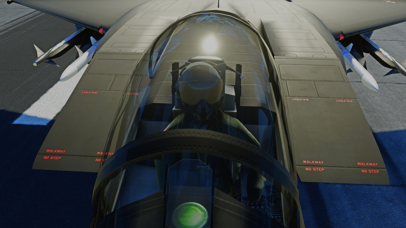 F-15C 65TH AGRS WRAITH for Microsoft Flight Simulator | MSFS