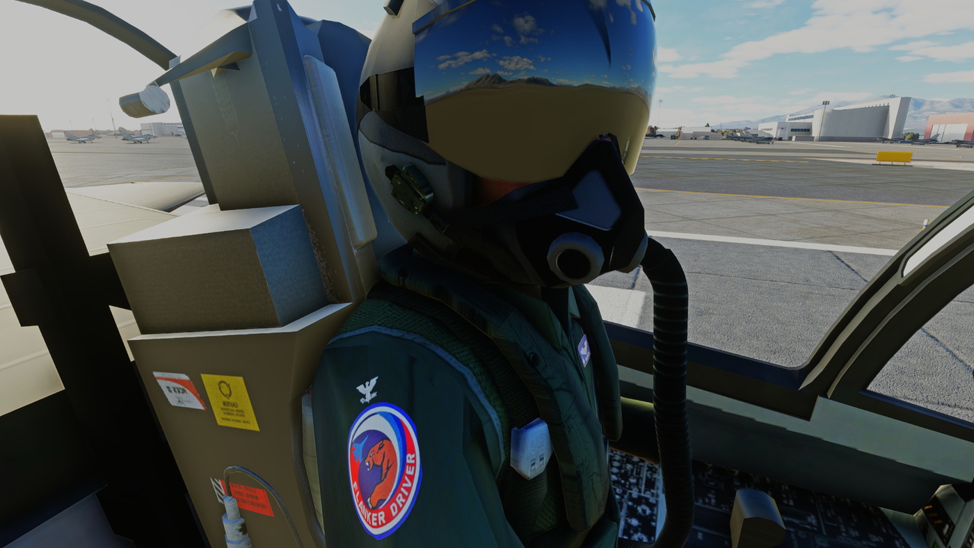 F-15C 65TH AGRS WRAITH for Microsoft Flight Simulator | MSFS