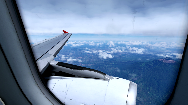 Fenixsim a320 Camera/Wings Views | Cabin Views for Microsoft Flight ...