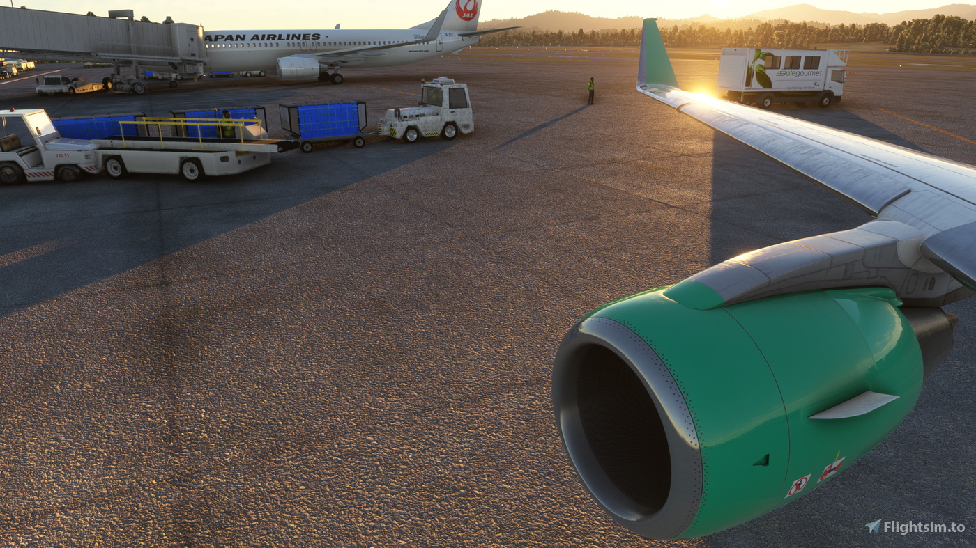 FSS E175 Modified VC and Showcase Views for Microsoft Flight Simulator ...